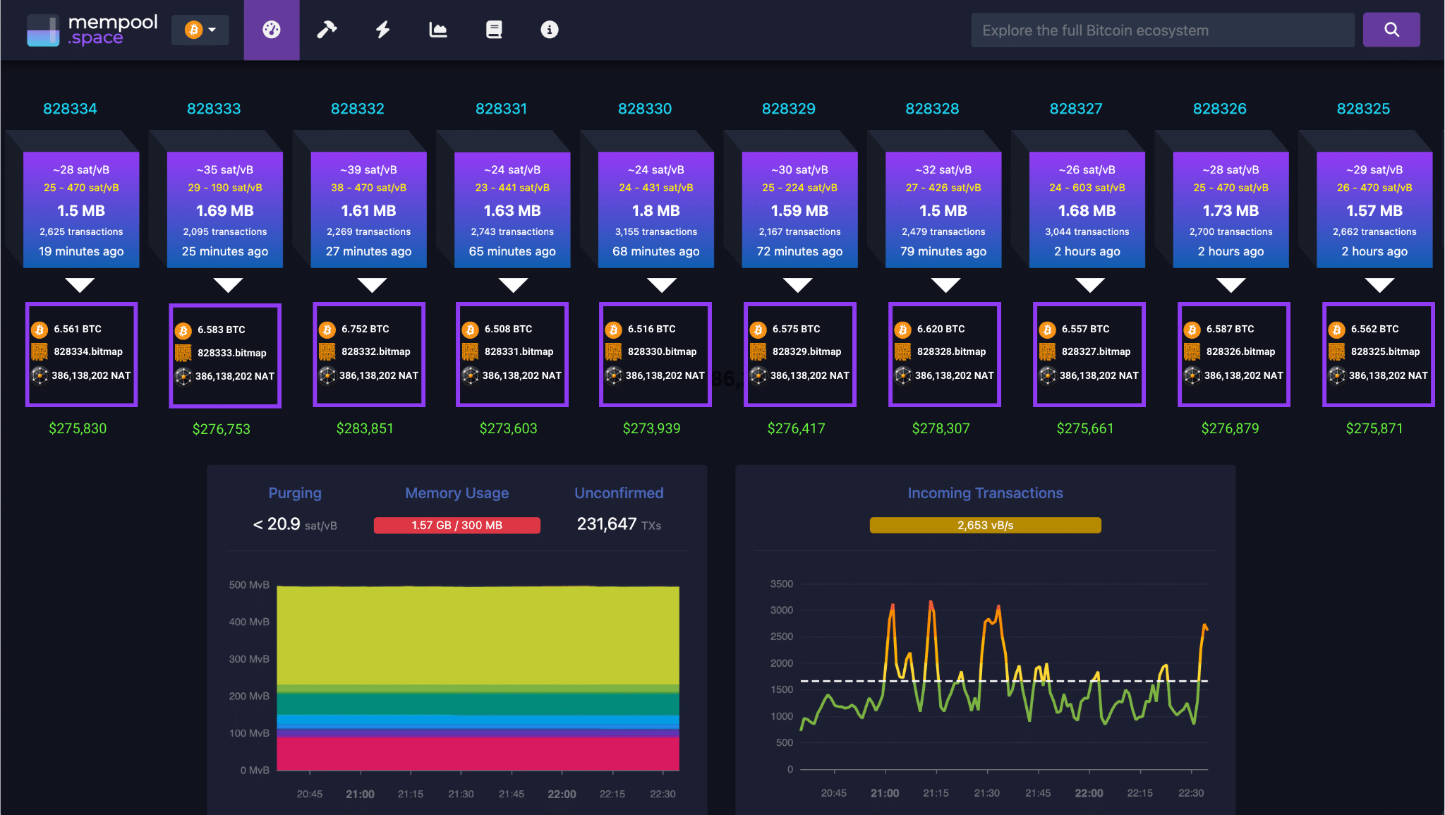 What are Non-Arbitrary Tokens and $NAT on Bitcoin? | Myth BTC